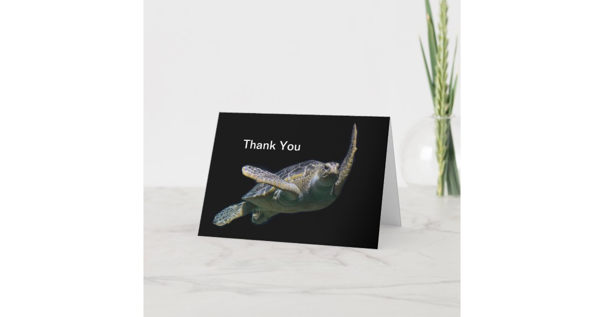 Turtle Swimming Sea Photo Thank You Card | Zazzle