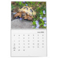 Turtles Wall Calendar | Zazzle