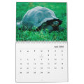 Turtles Wall Calendar | Zazzle