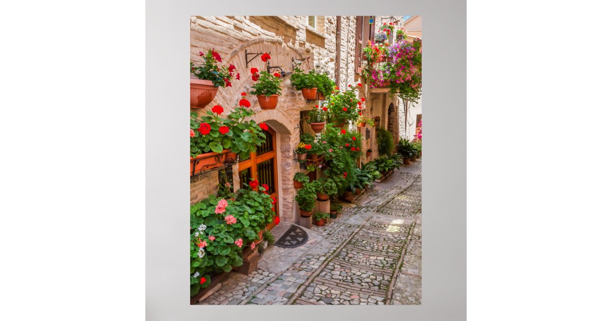 Tuscany, Italy - a quaint street Poster | Zazzle
