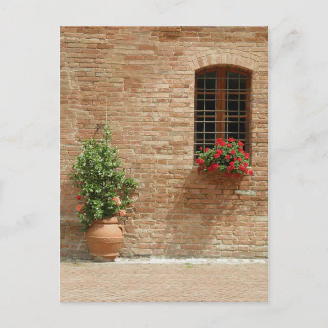 Tuscany pot plants postcard | Zazzle