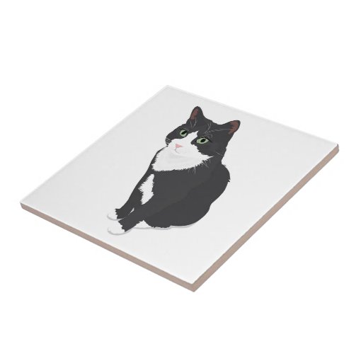 Tuxedo Cat Ceramic Tile | Zazzle
