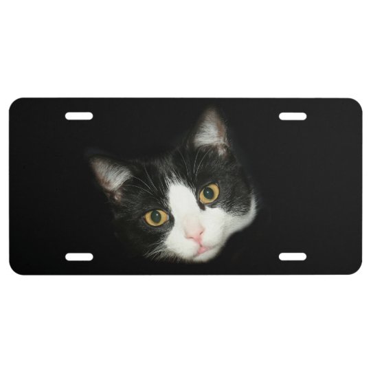 Tuxedo cat face license plate | Zazzle.com