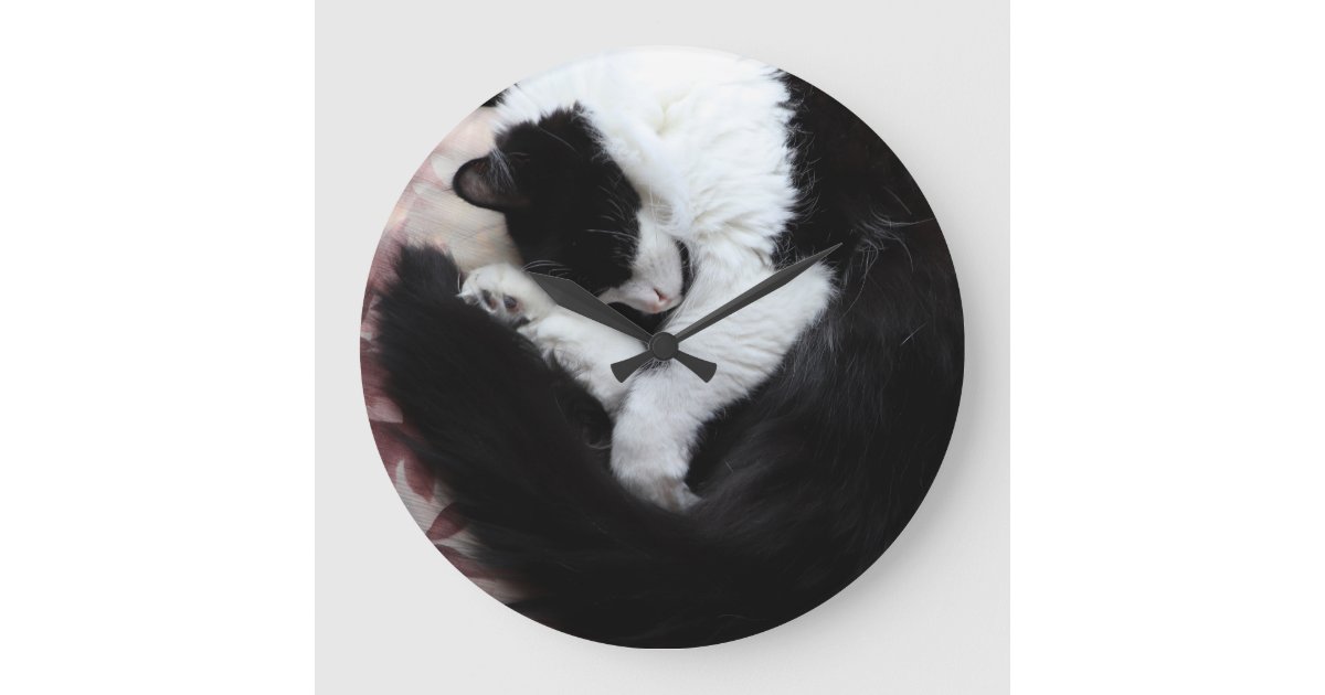 Tuxedo Cat Kitty Cats Black and White Caturday Large Clock | Zazzle