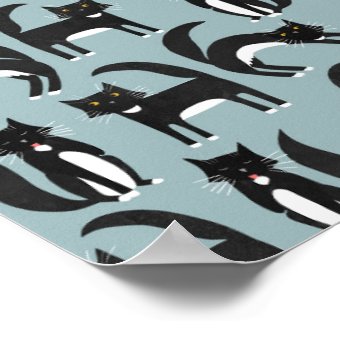 Tuxedo Cats Poster | Zazzle