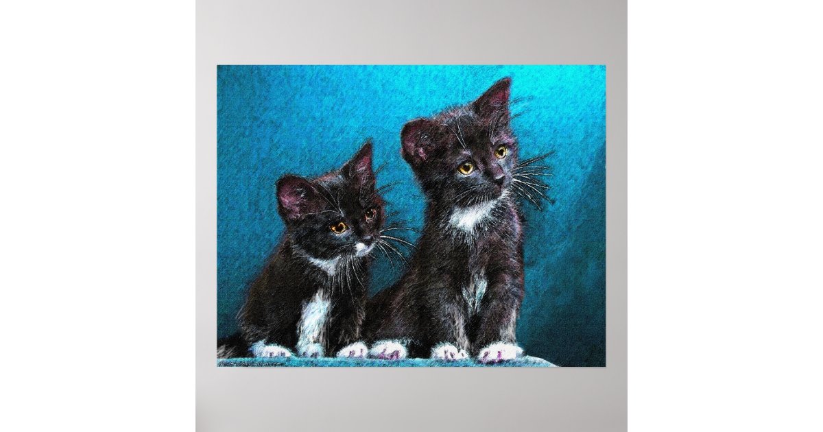 tuxedo kittens poster | Zazzle