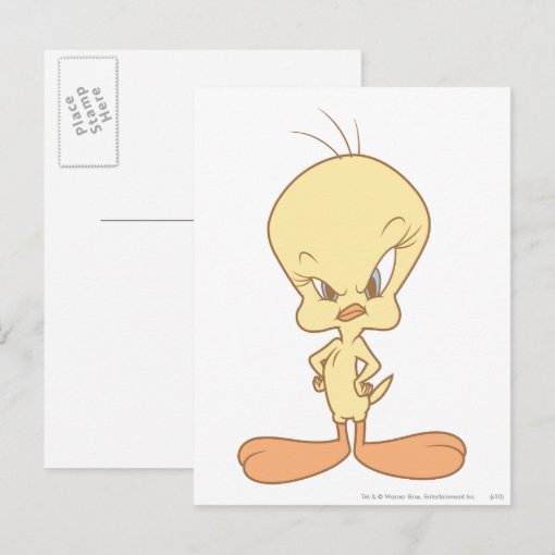 TWEETY™ Angry Postcard | Zazzle