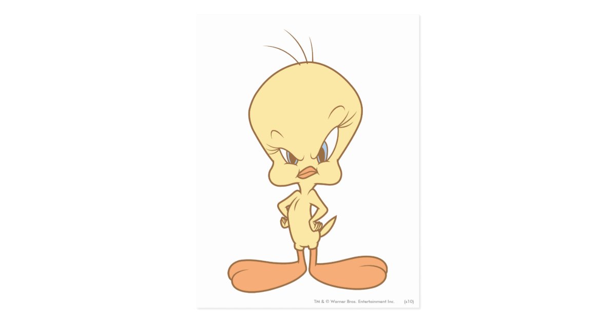 Tweety Angry Postcard | Zazzle.com