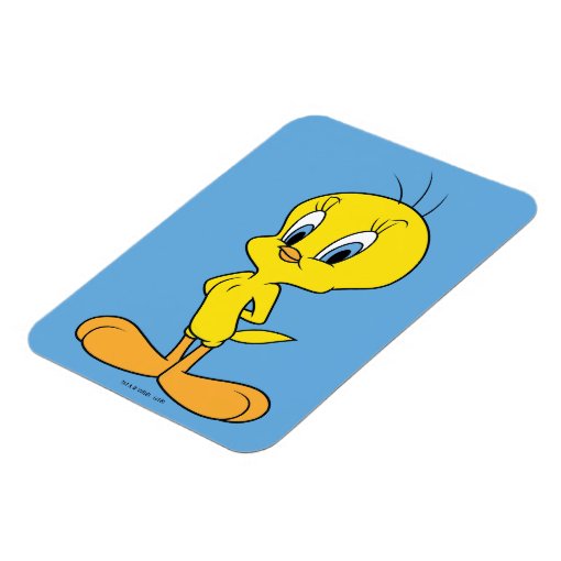 TWEETY™ | Clever Bird Magnet | Zazzle