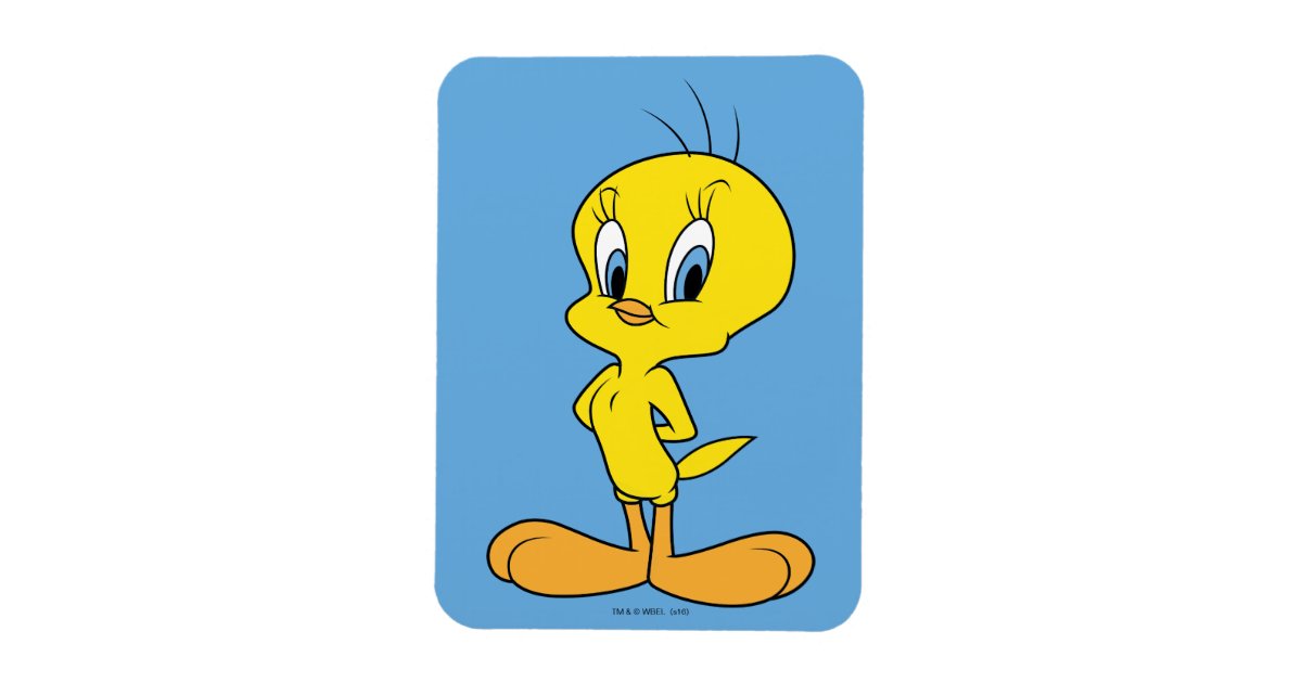 TWEETY™ | Clever Bird Magnet | Zazzle