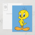 TWEETY™ | Clever Bird Postcard | Zazzle