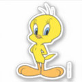 TWEETY™ | Clever Bird Sticker | Zazzle