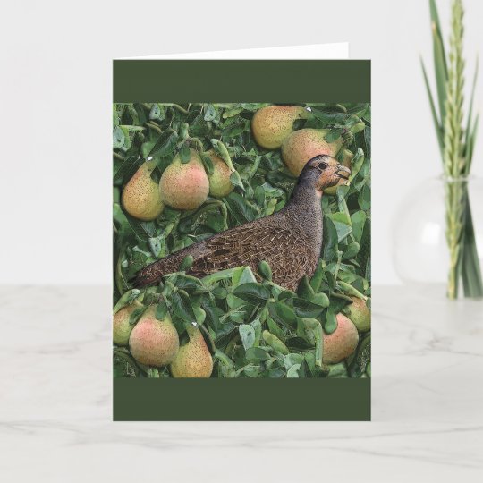 Twelve Days of Christmas -Partridge in a Pear Tree Holiday Card ...