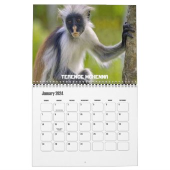 Twelve Monkeys Calendar | Zazzle