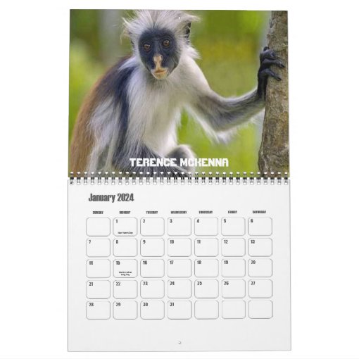 Twelve Monkeys Calendar | Zazzle