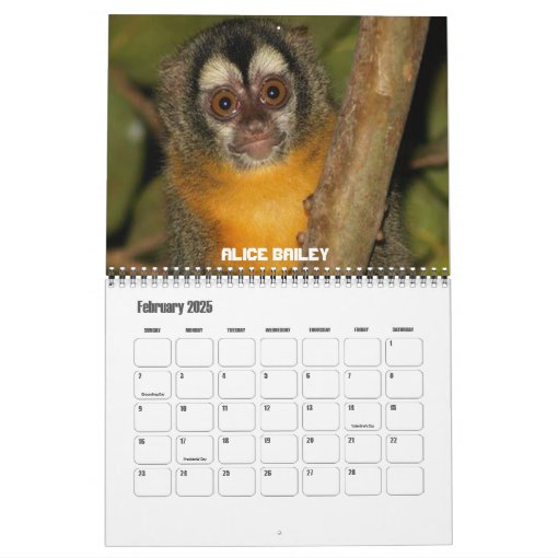 Twelve Monkeys Calendar | Zazzle