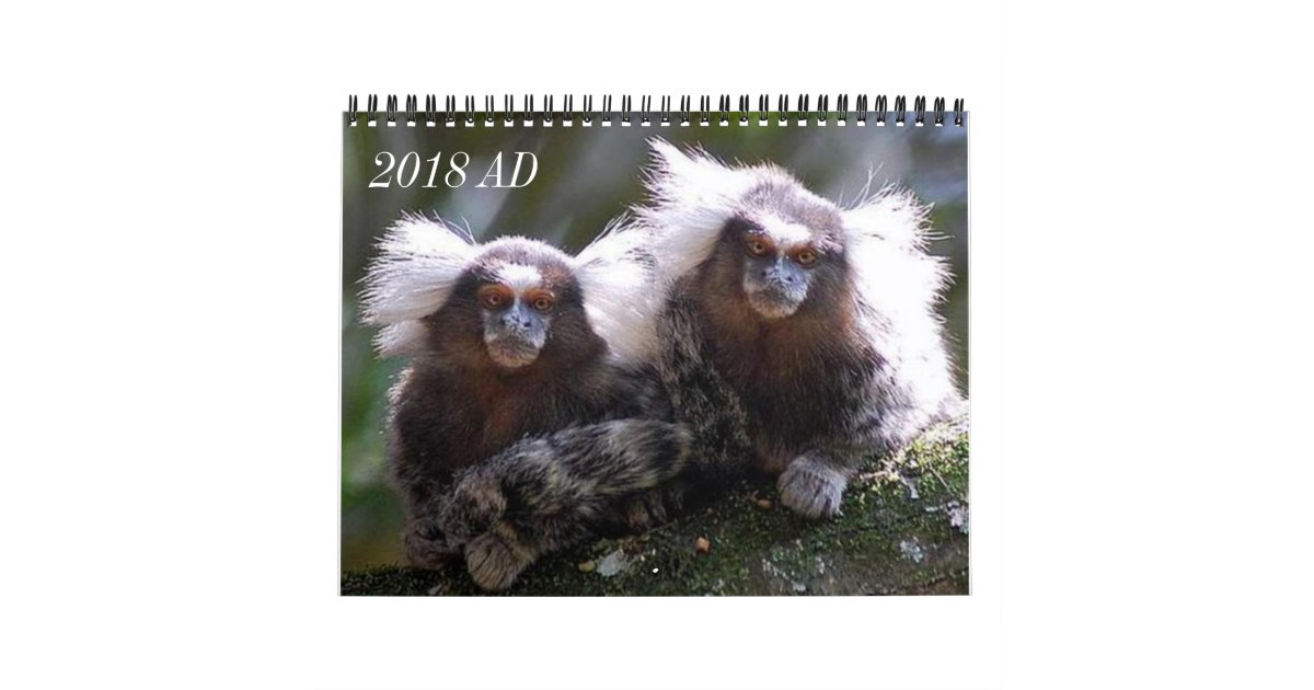Twelve Monkeys Calendar | Zazzle