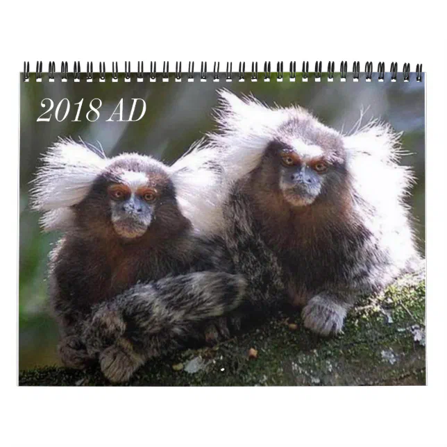 Twelve Monkeys Calendar | Zazzle