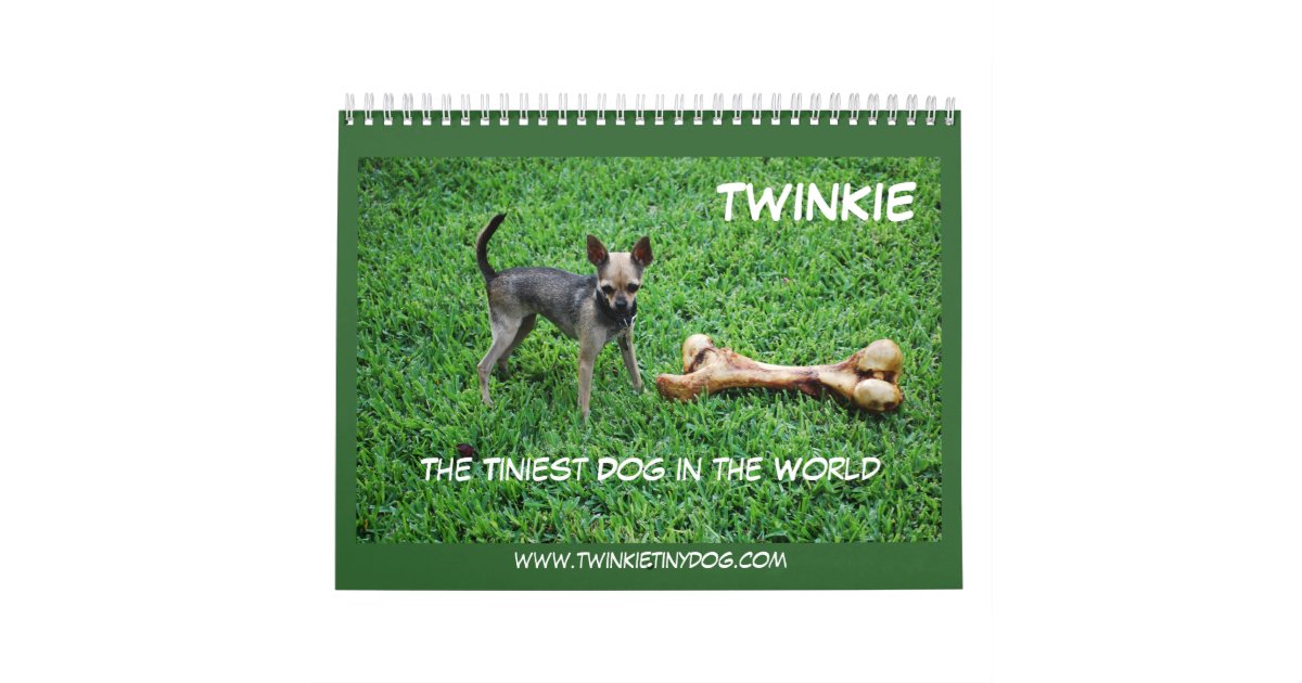 TWINKIE'S CALENDAR | Zazzle