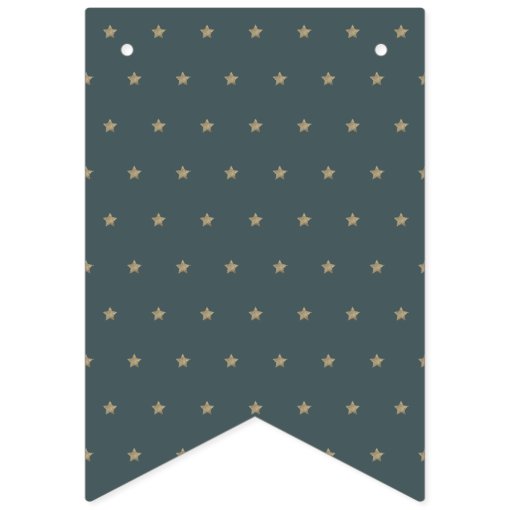 Twinkle Little Star Baby Shower Bunting Flags | Zazzle