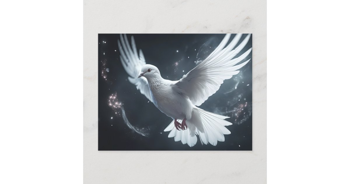 Twinkling Lights White Peace Dove Postcard | Zazzle