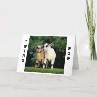 TWINS=WOW=CONGRATULATIONS SAYS THE TALKING GOATS CARD | Zazzle