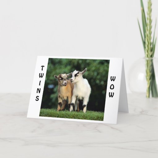 TWINS=WOW=CONGRATULATIONS SAYS THE TALKING GOATS CARD | Zazzle