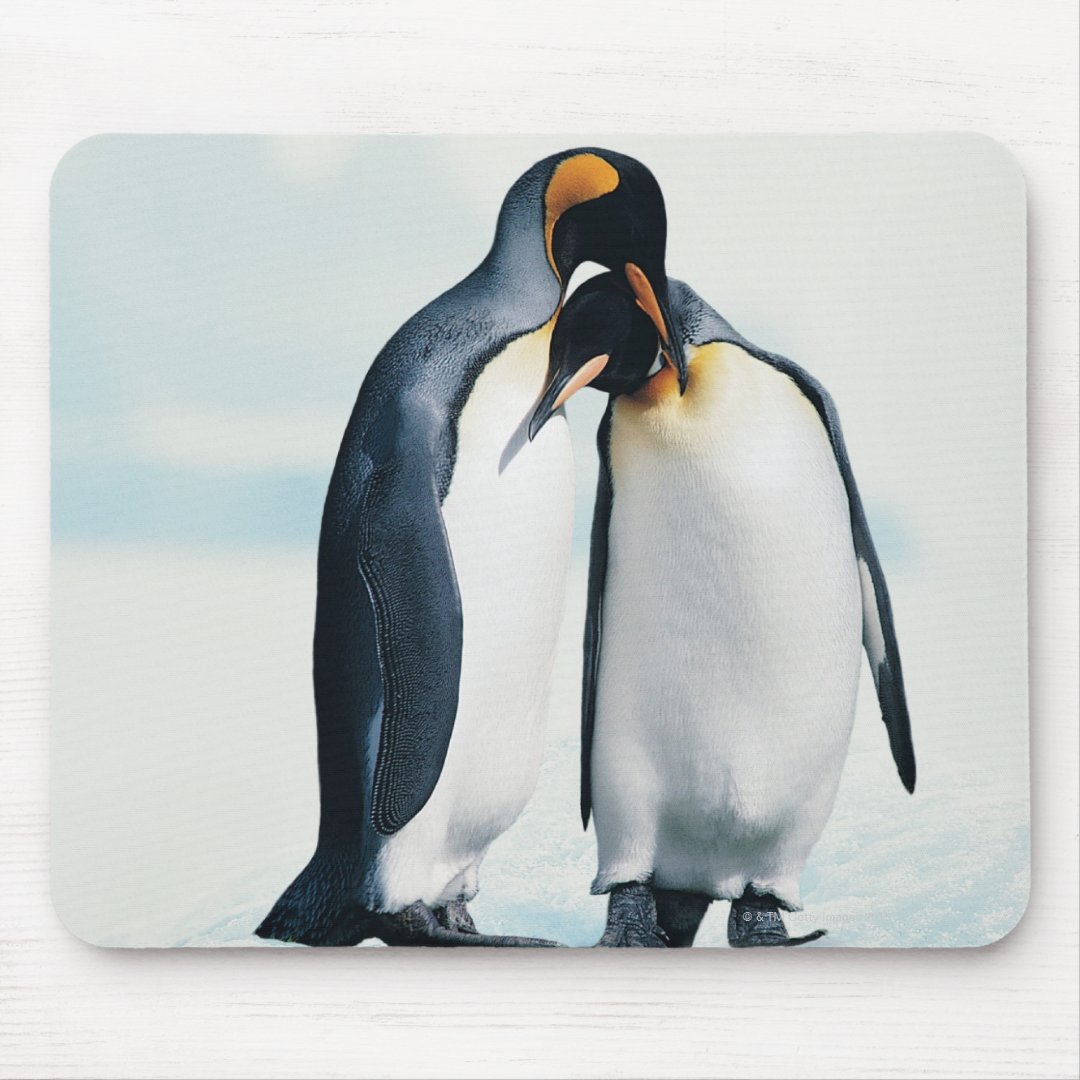 Two affectionate penguins mouse pad | Zazzle