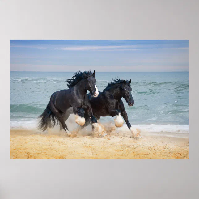Two Beautiful Shire Horses Running Along The Beach Poster | Zazzle