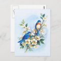 Two Bluebirds Postcard | Zazzle