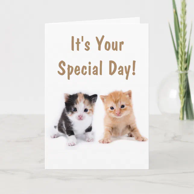 Two Cute Kittens Birthday Card | Zazzle