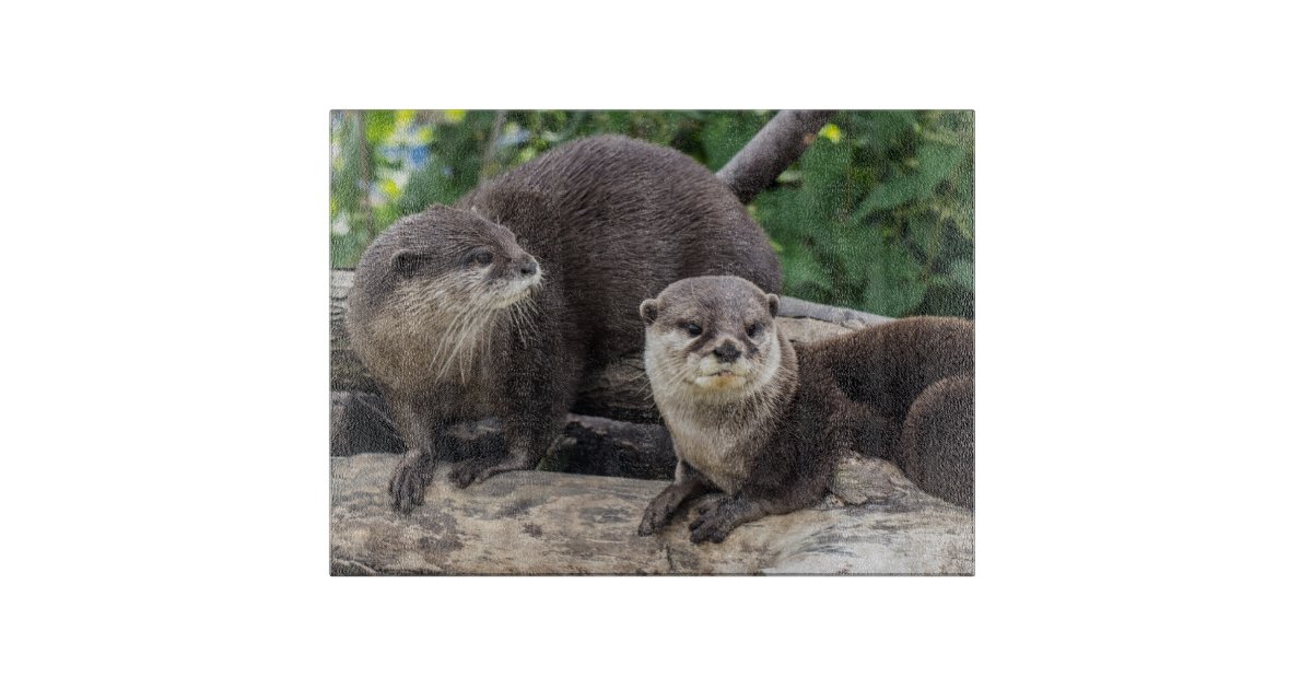 Two Cute Otters | Otter Cutting Board | Zazzle
