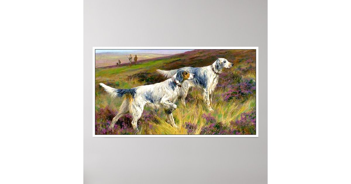 Two English Setters in a Field - Arthur Wardle Poster | Zazzle