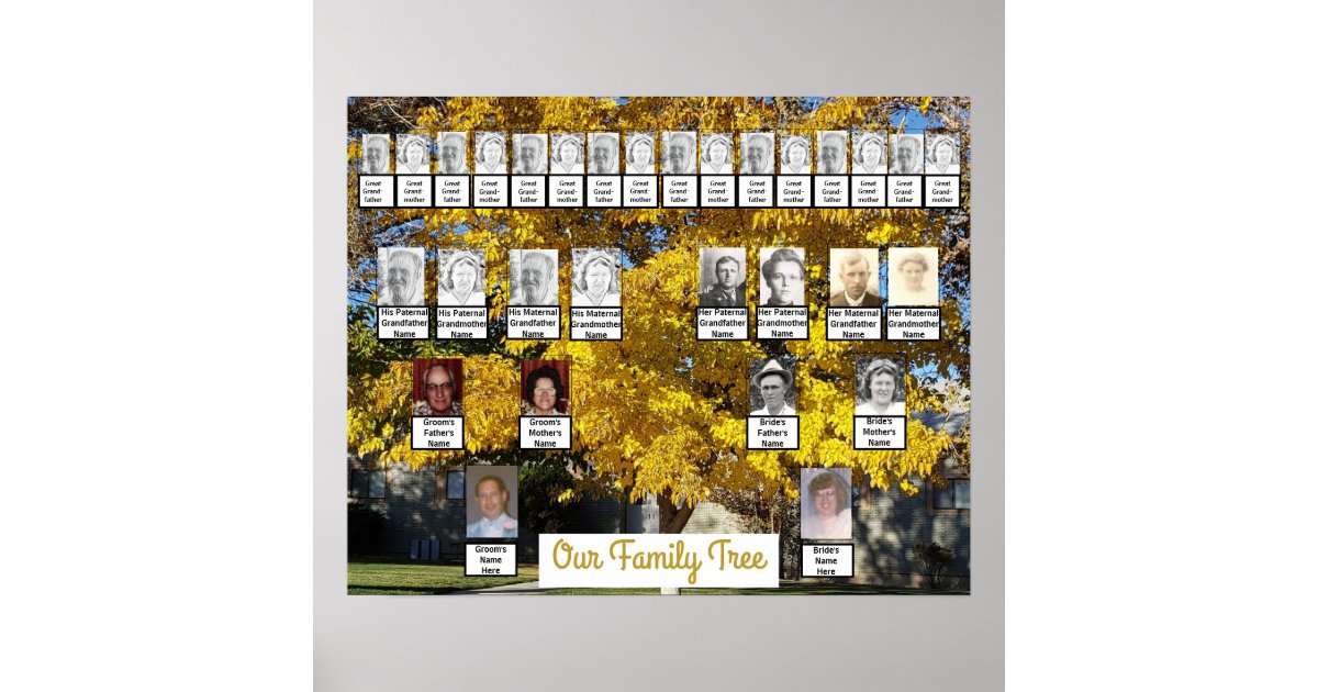 Two Families Autumn Tree Photos | Names Poster | Zazzle