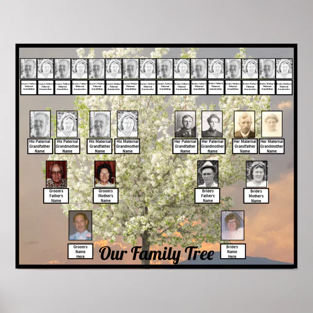 Two Family Tree Blossoms Tree Photo | Pink Sunset Poster | Zazzle
