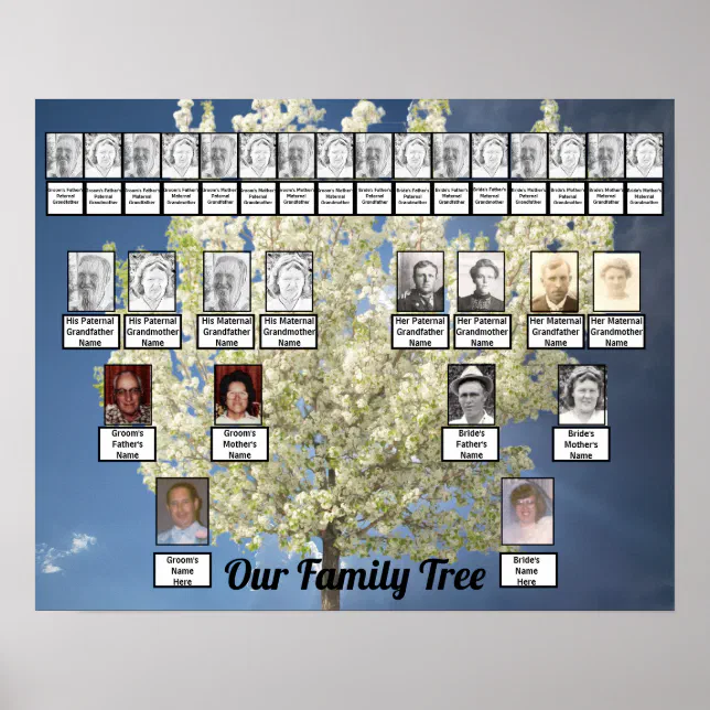 Two Family Trees Blossoming Tree Photo | Blue Sky Poster | Zazzle
