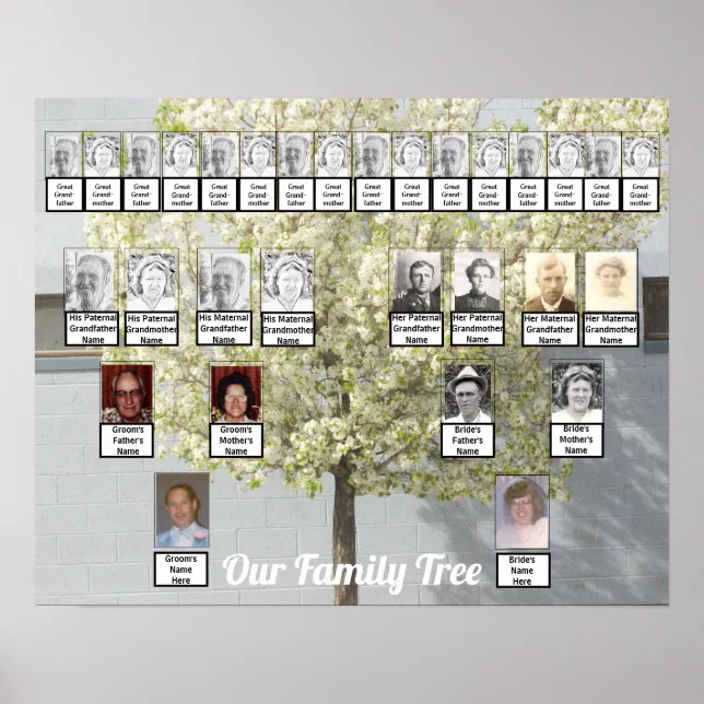 Two Family Trees Blossoms Photo | Name Poster | Zazzle