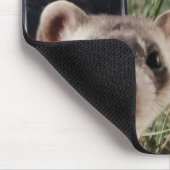 Two Ferrets Mouse Pad | Zazzle