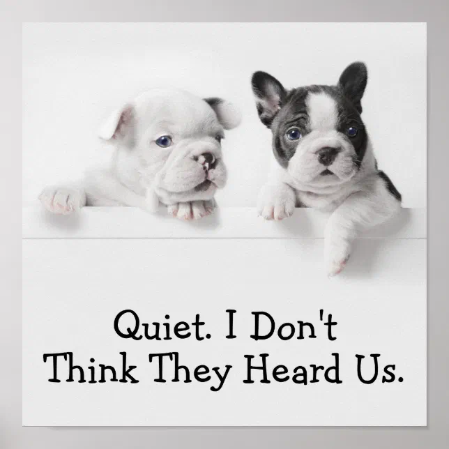 Two French Bulldog Puppies Peer Over A Wall Poster | Zazzle