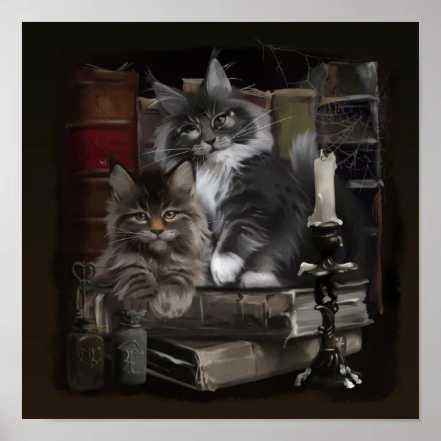Two furry Maine Coon kittens Poster | Zazzle