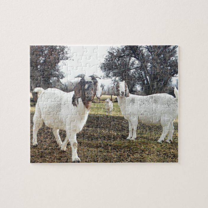 Two Goats Jigsaw Puzzle | Zazzle.com