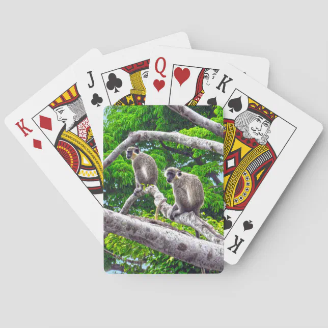 Two Green Monkeys Sitting In Tree Playing Cards | Zazzle