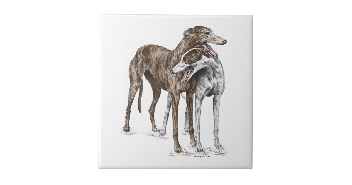 Two Greyhound Friends Dog Art Tile | Zazzle