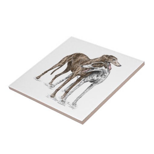Two Greyhound Friends Dog Art Tile | Zazzle