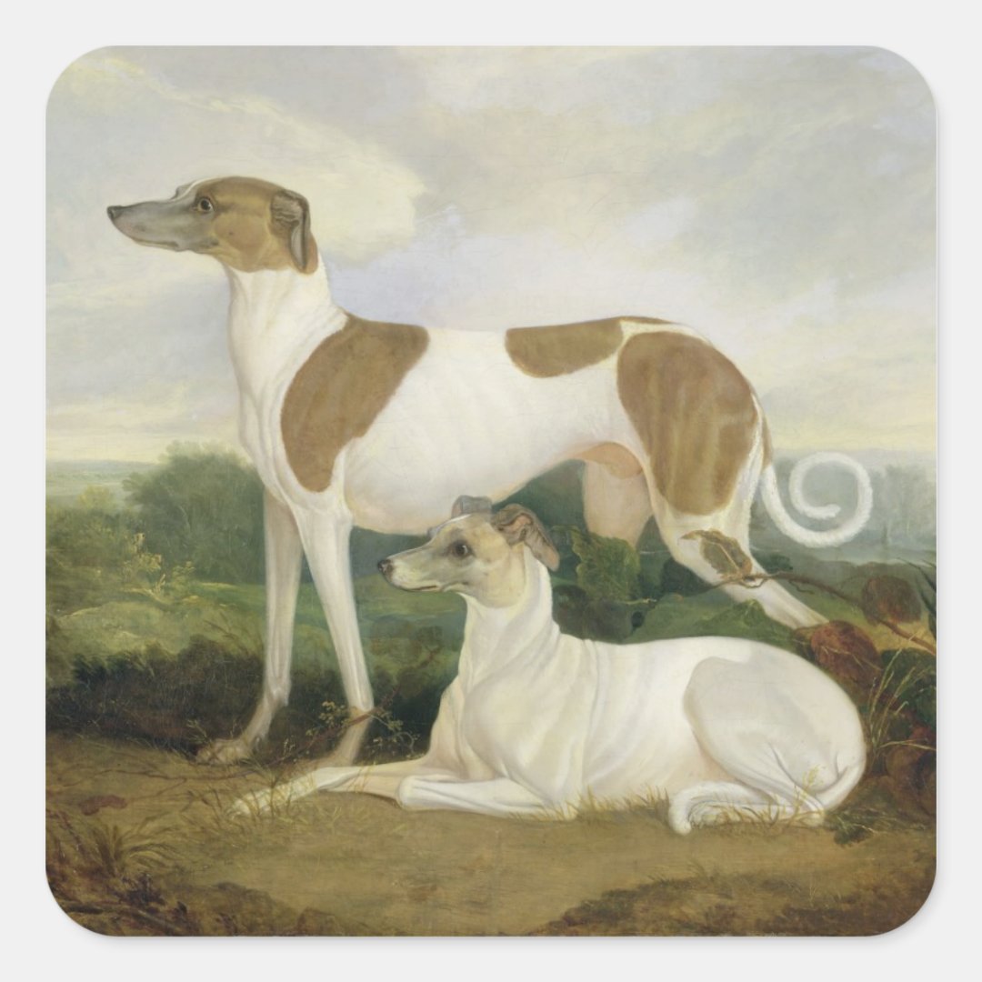 Two Greyhounds in a Landscape (oil on canvas) Square Sticker | Zazzle