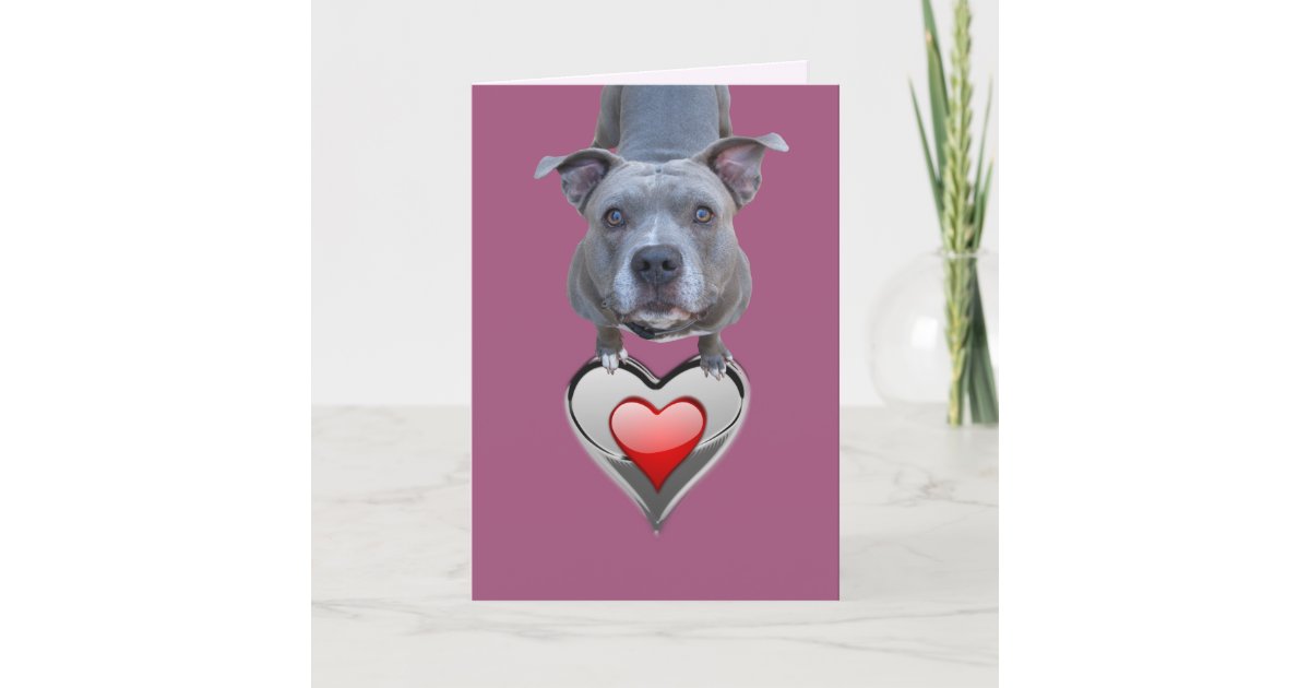 Two Hearts Pitbull Valentine's Day Card | Zazzle