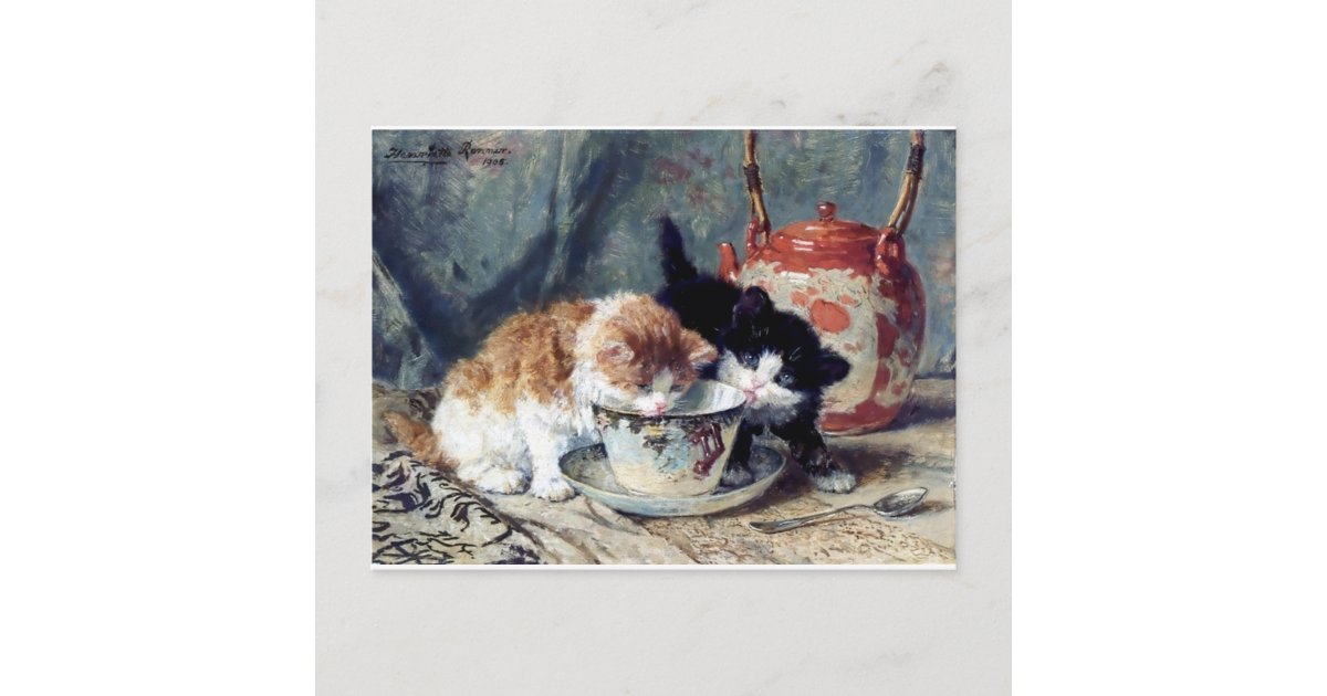 Two kittens having tea party postcard | Zazzle