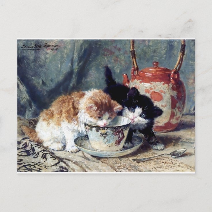 Two kittens having tea party postcard | Zazzle