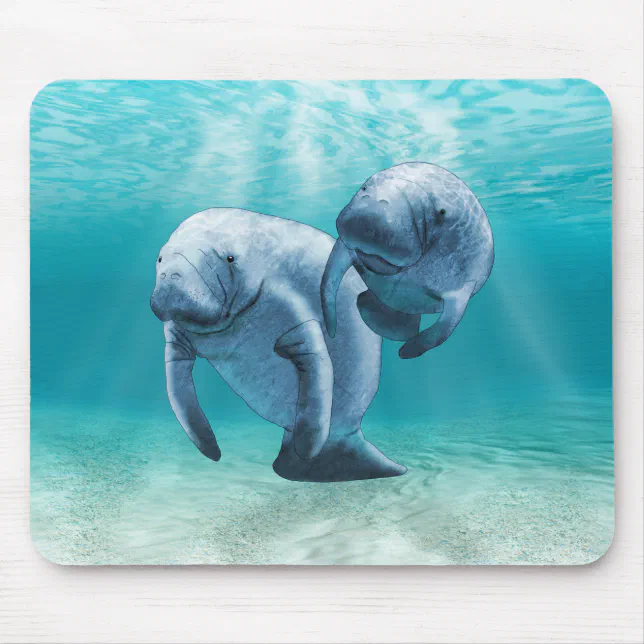Two Manatees Swimming Mouse Pad | Zazzle