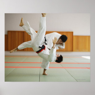 Judo Throws Poster